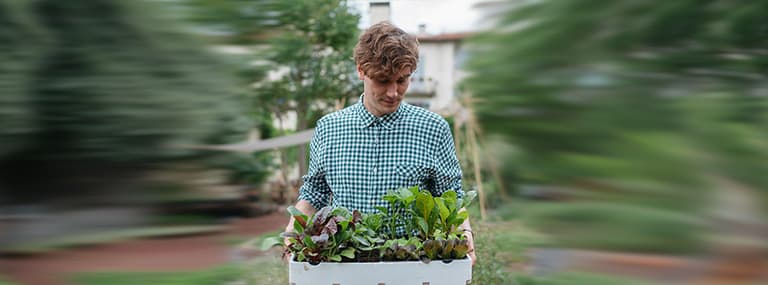 AXA Parks | Sustainable, community-led projects